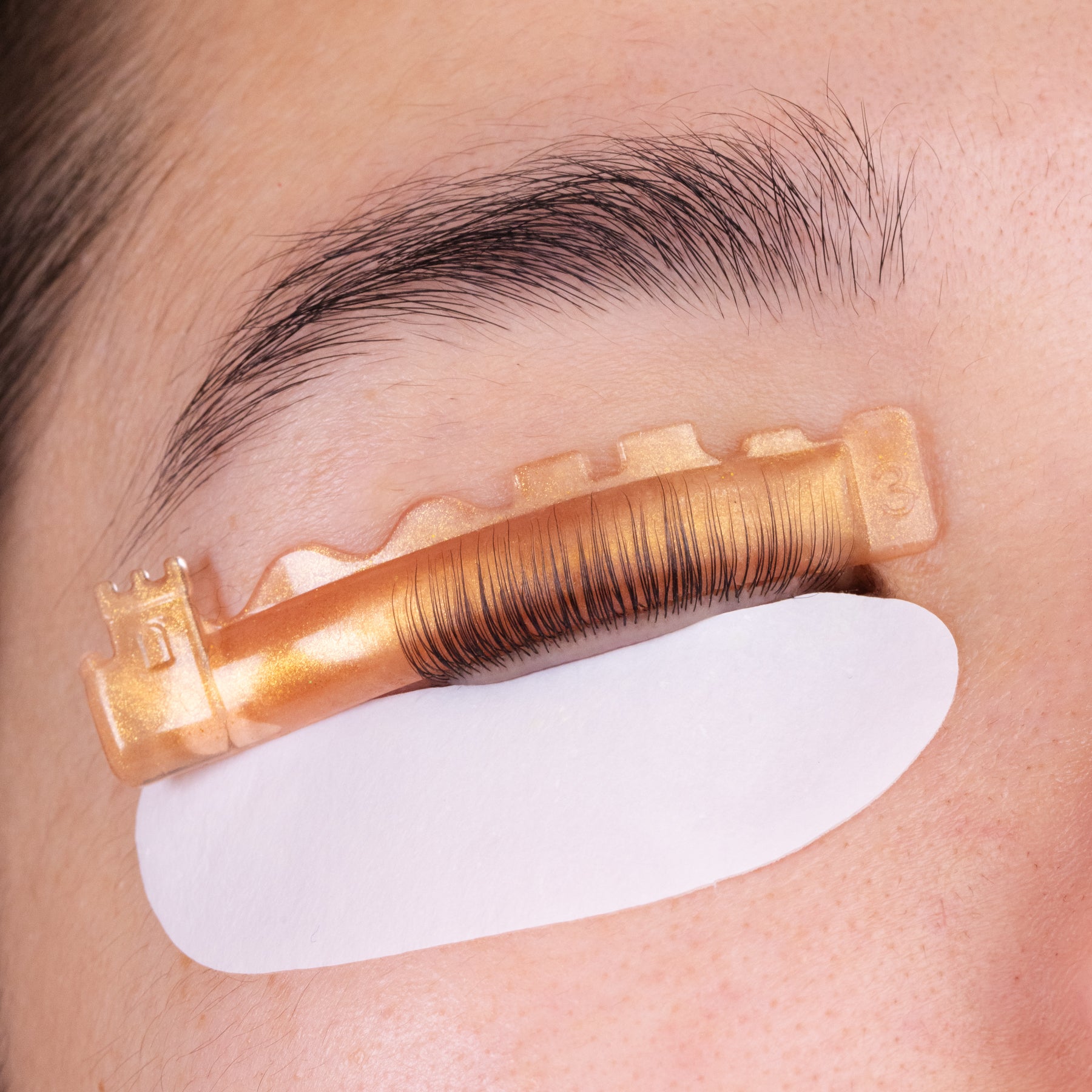 Golden Castle Lift Shields – Classic Lash Lift Set | Curacoro – CURACORO CA