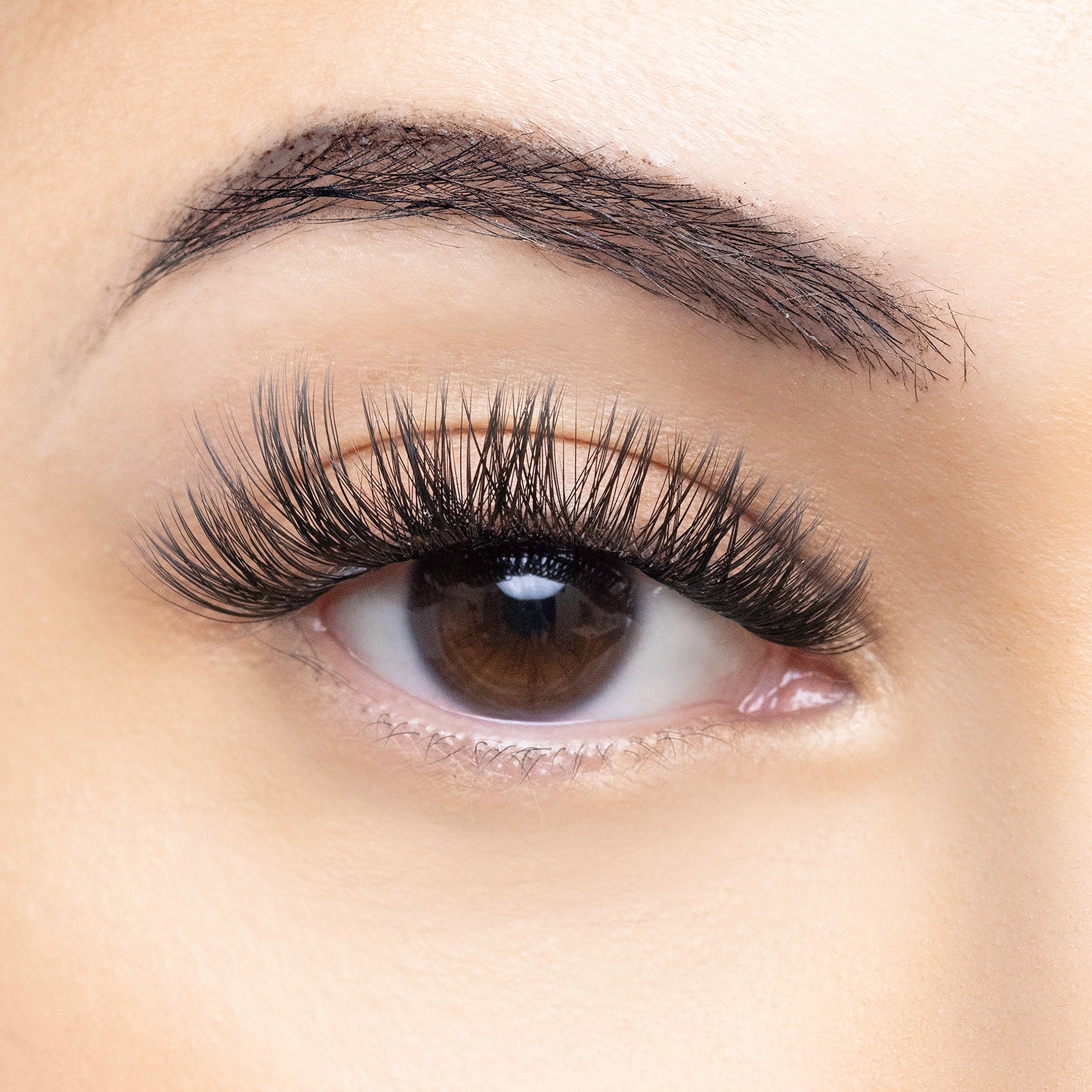 Curacoro - LLBA – CURACORO CA